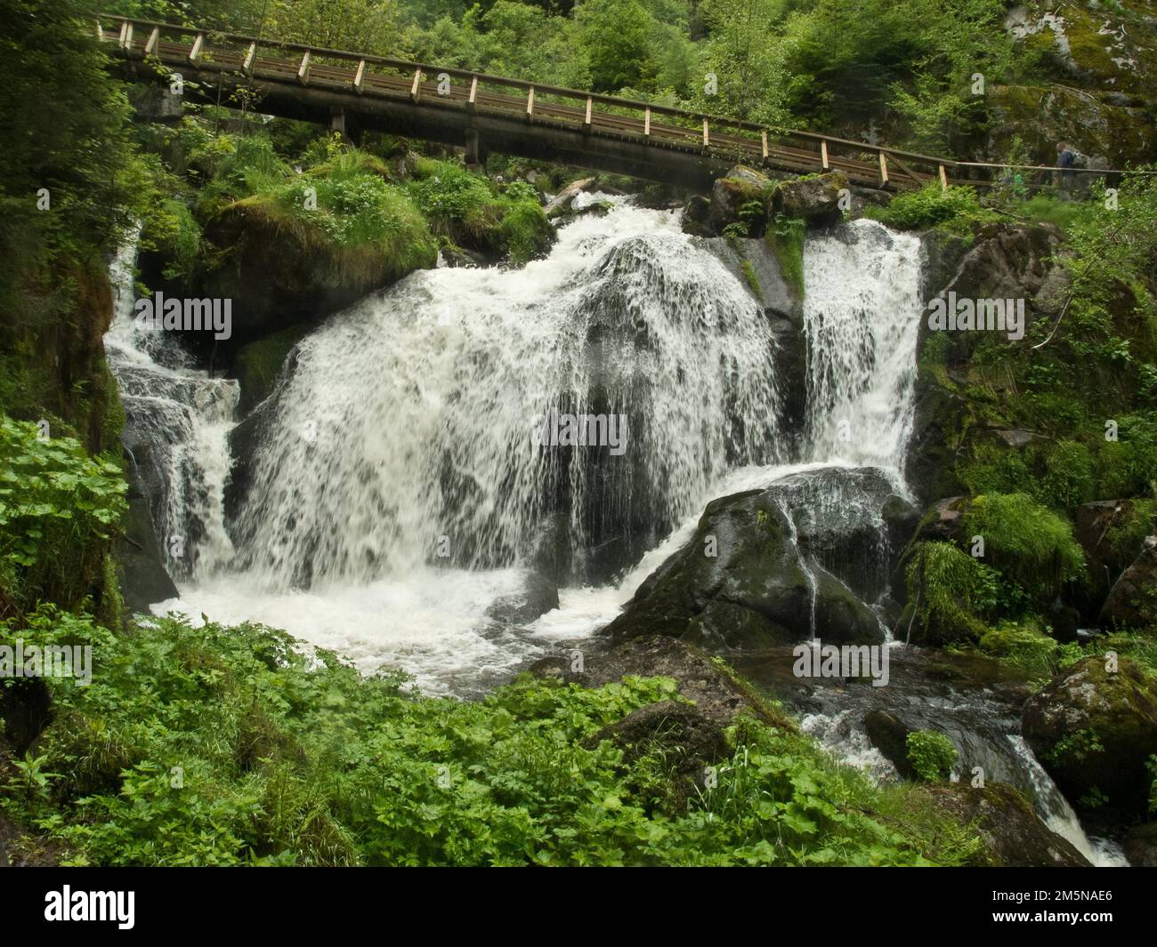 Fourth main stage of the Triberg waterfalls, granite steps, wooden ...