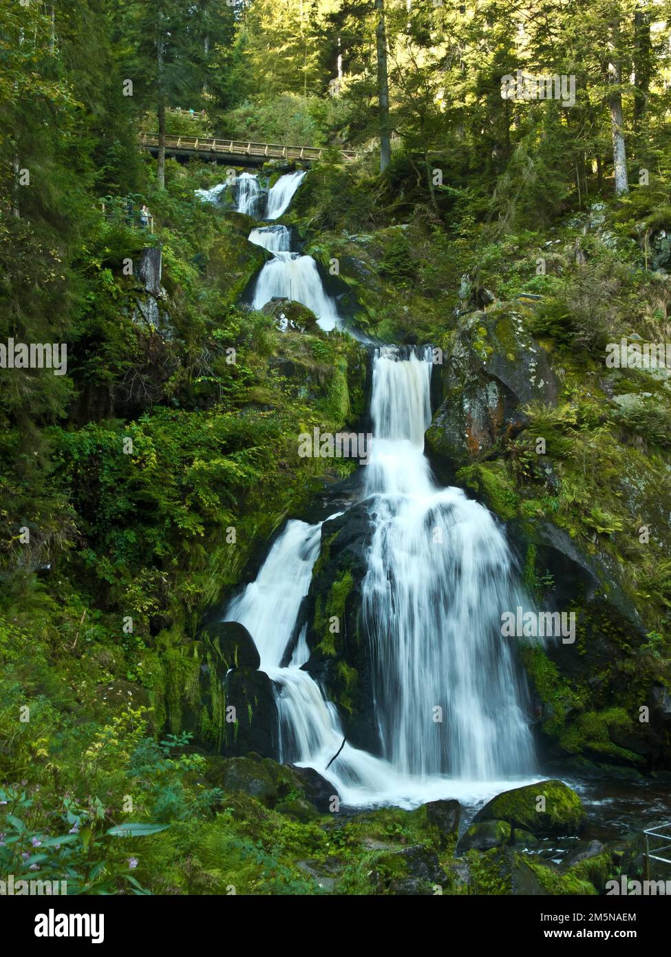 The lower four of the seven steps of the main falls of the Triberg ...