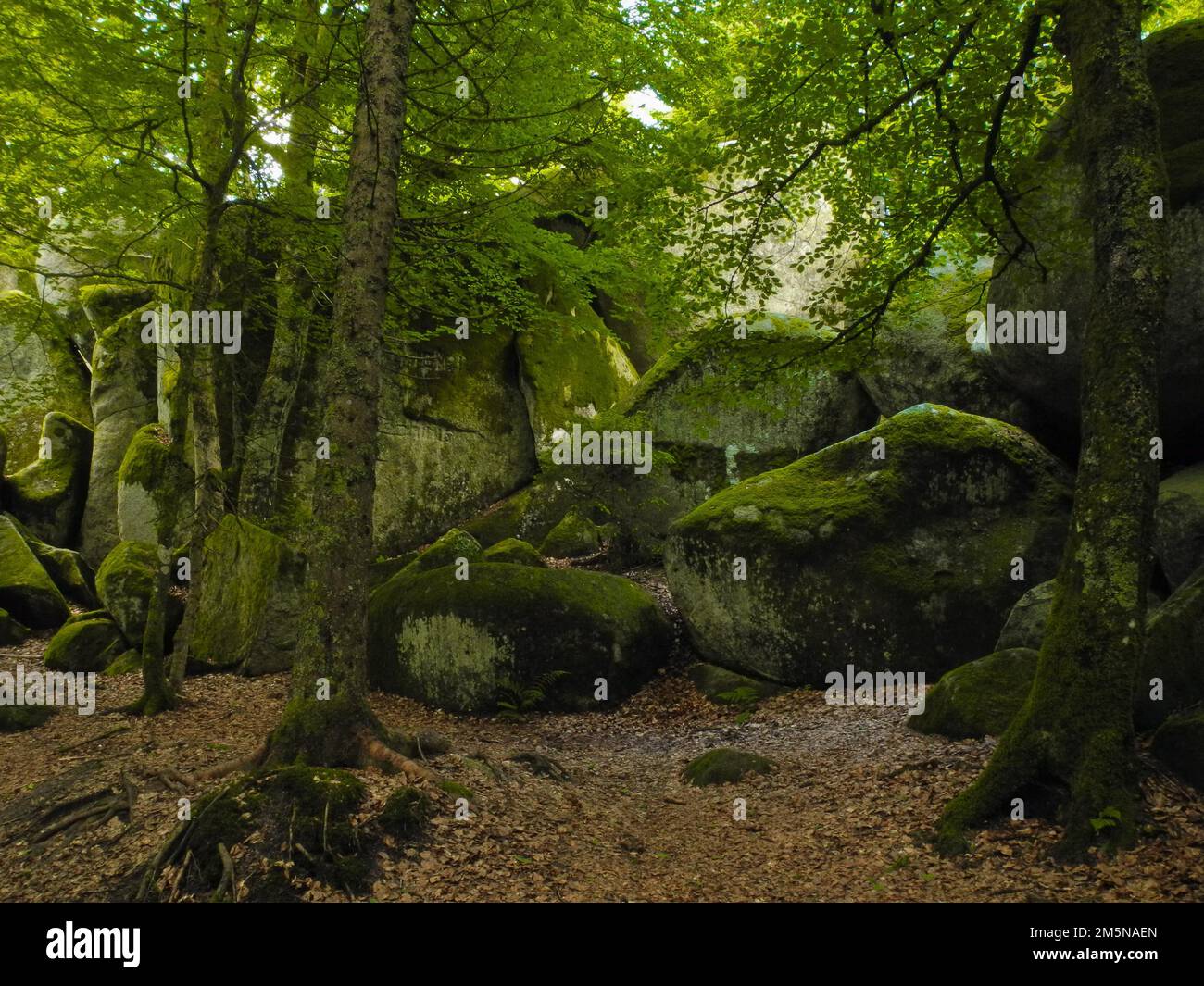 Guenterfelsen, Wollsack weathering, granite rock, nature reserve ...
