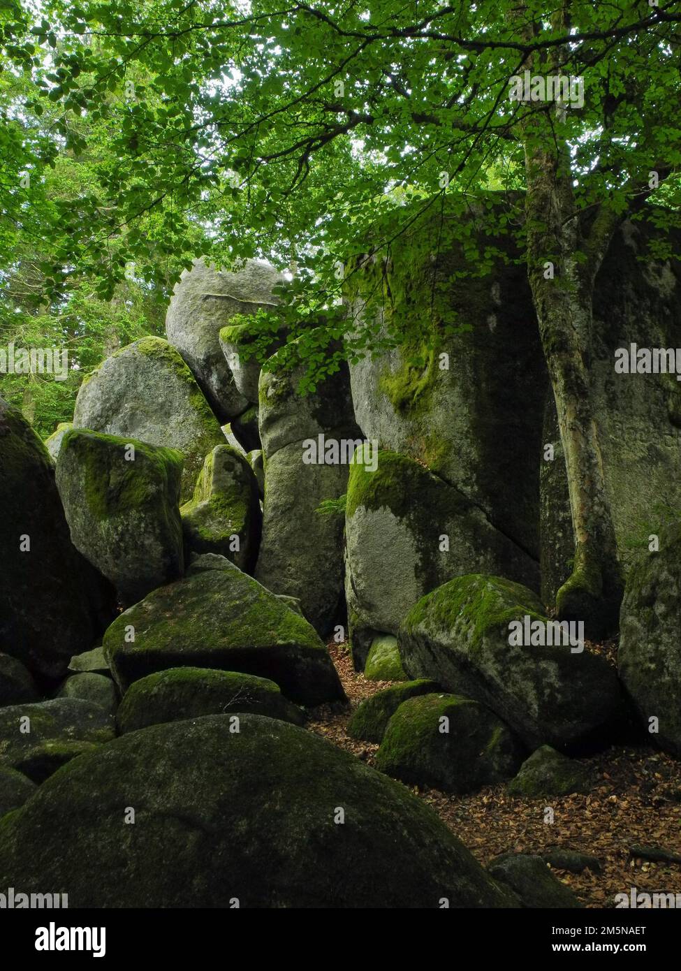 Guenterfelsen, Wollsack weathering, granite rock, nature reserve ...