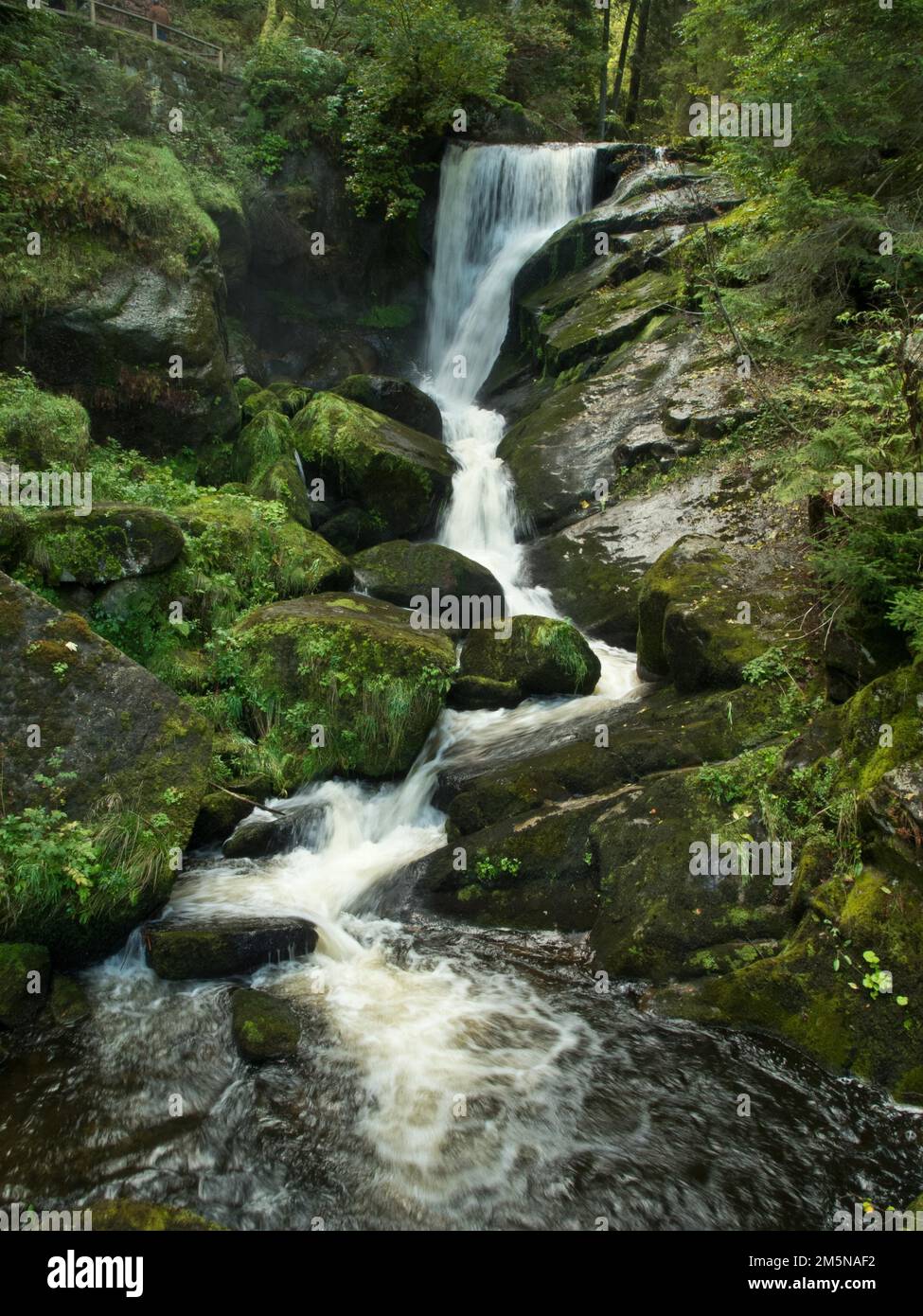 First main stage of the Triberg waterfalls, granite steps, landscape ...