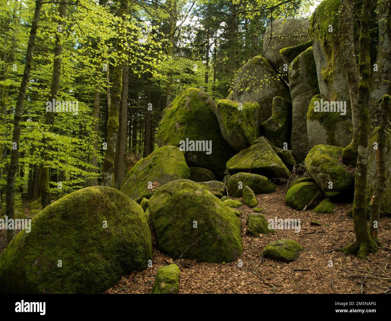Guenterfelsen, Wollsack weathering, granite rock, nature reserve ...