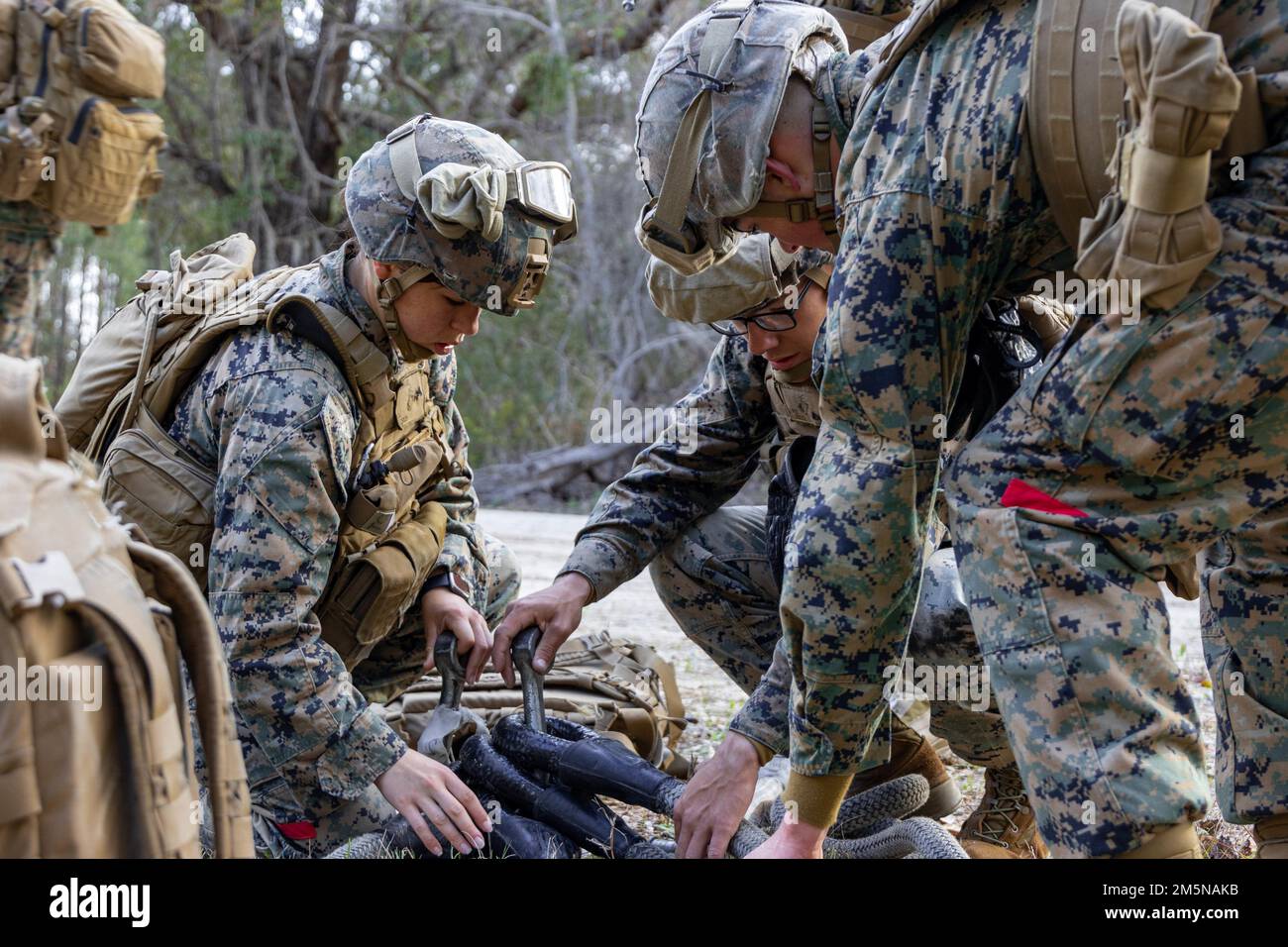 U.S. Marines with Combat Logistics Battalion (CLB) 22, Combat Logistics ...