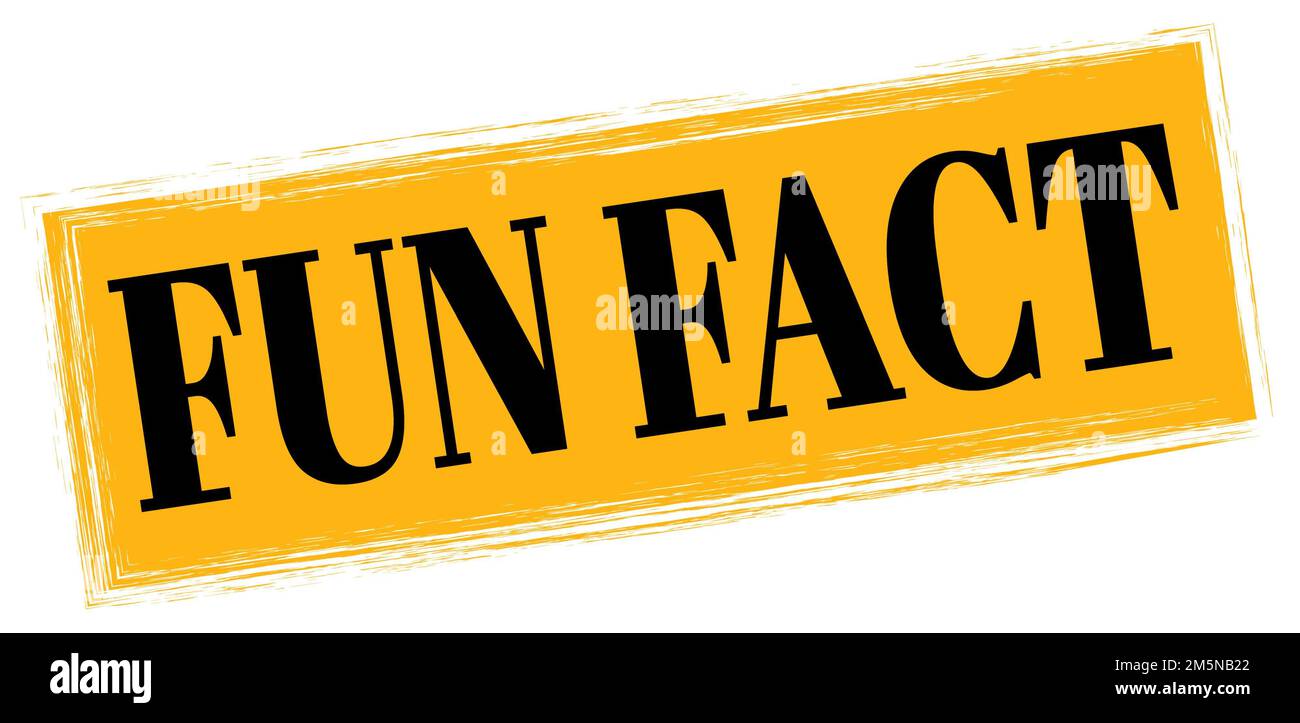 FUN FACT text written on orange-black rectangle stamp sign Stock Photo ...