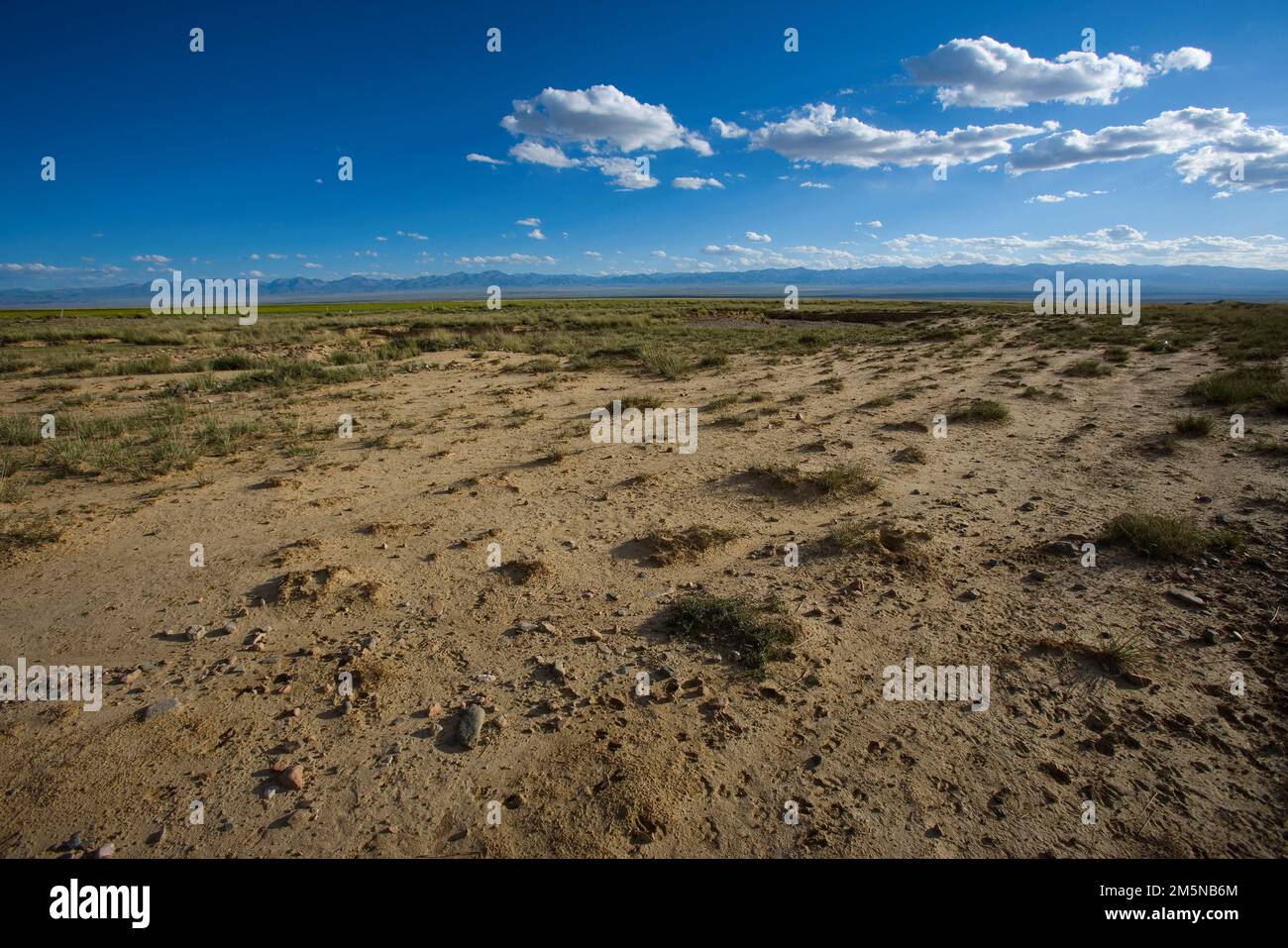 Penurious hi-res stock photography and images - Alamy