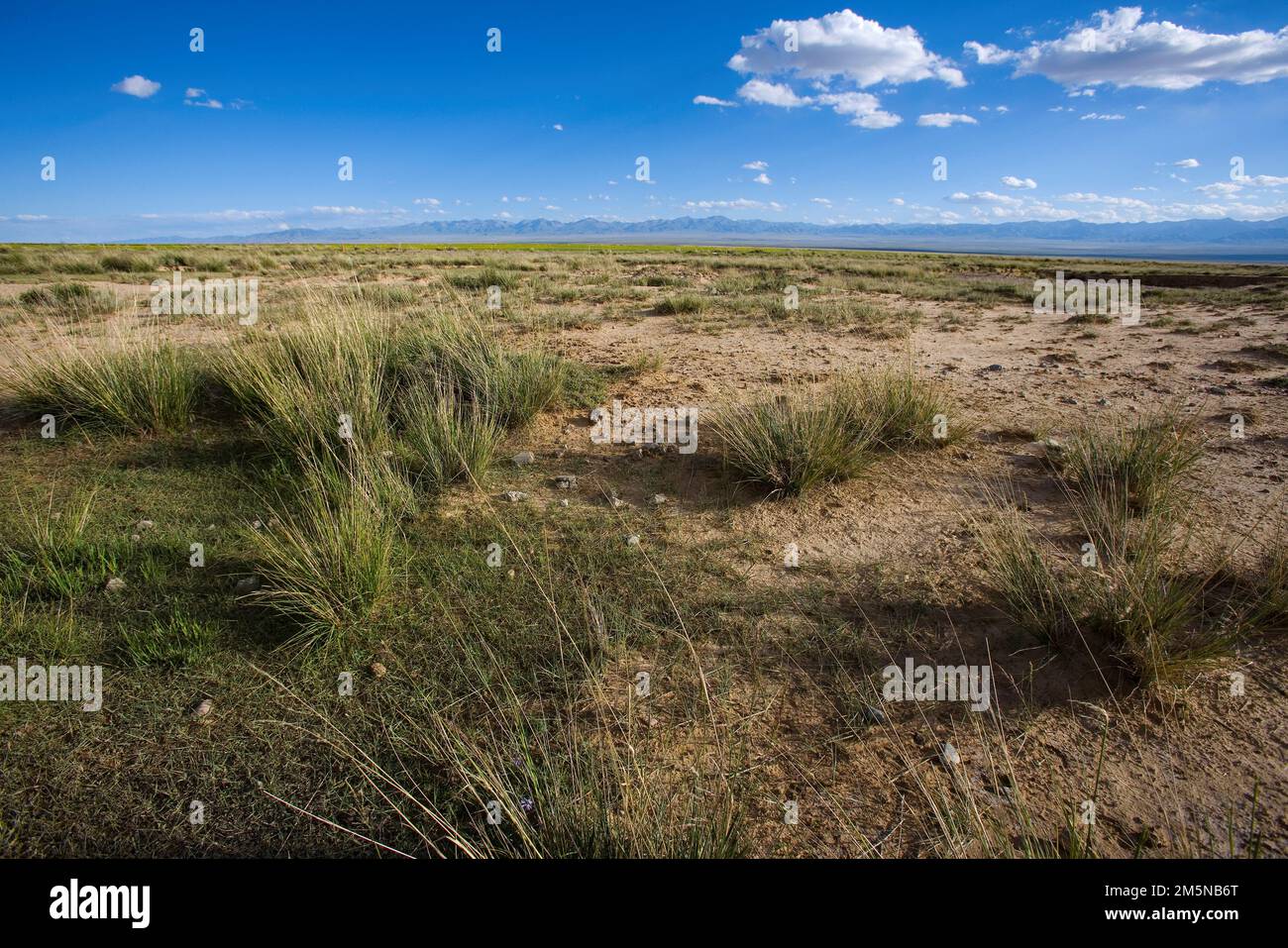 A penurious land in Qinghai Stock Photo - Alamy
