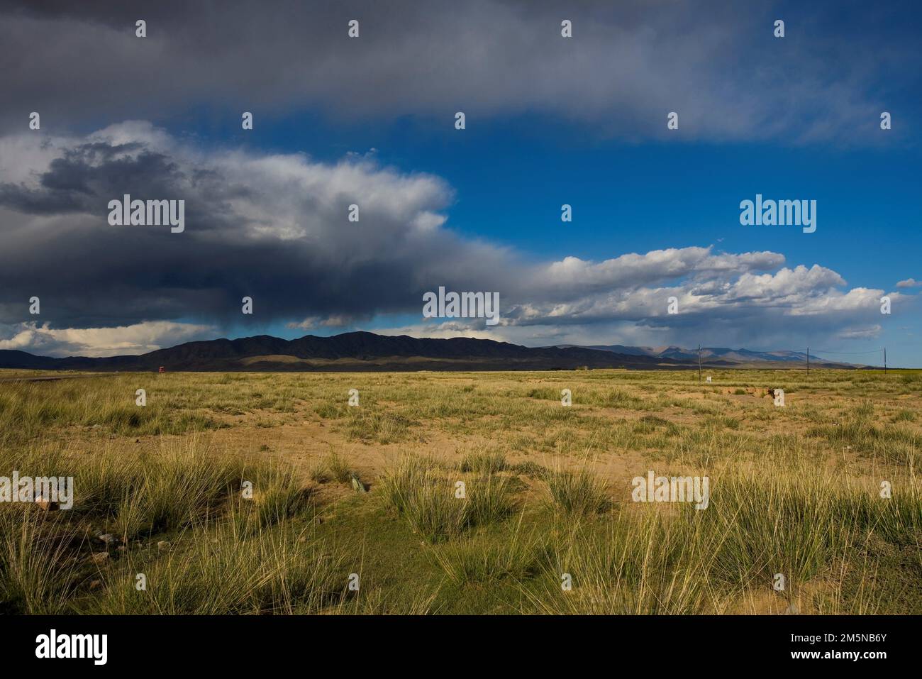 Penurious hi-res stock photography and images - Alamy