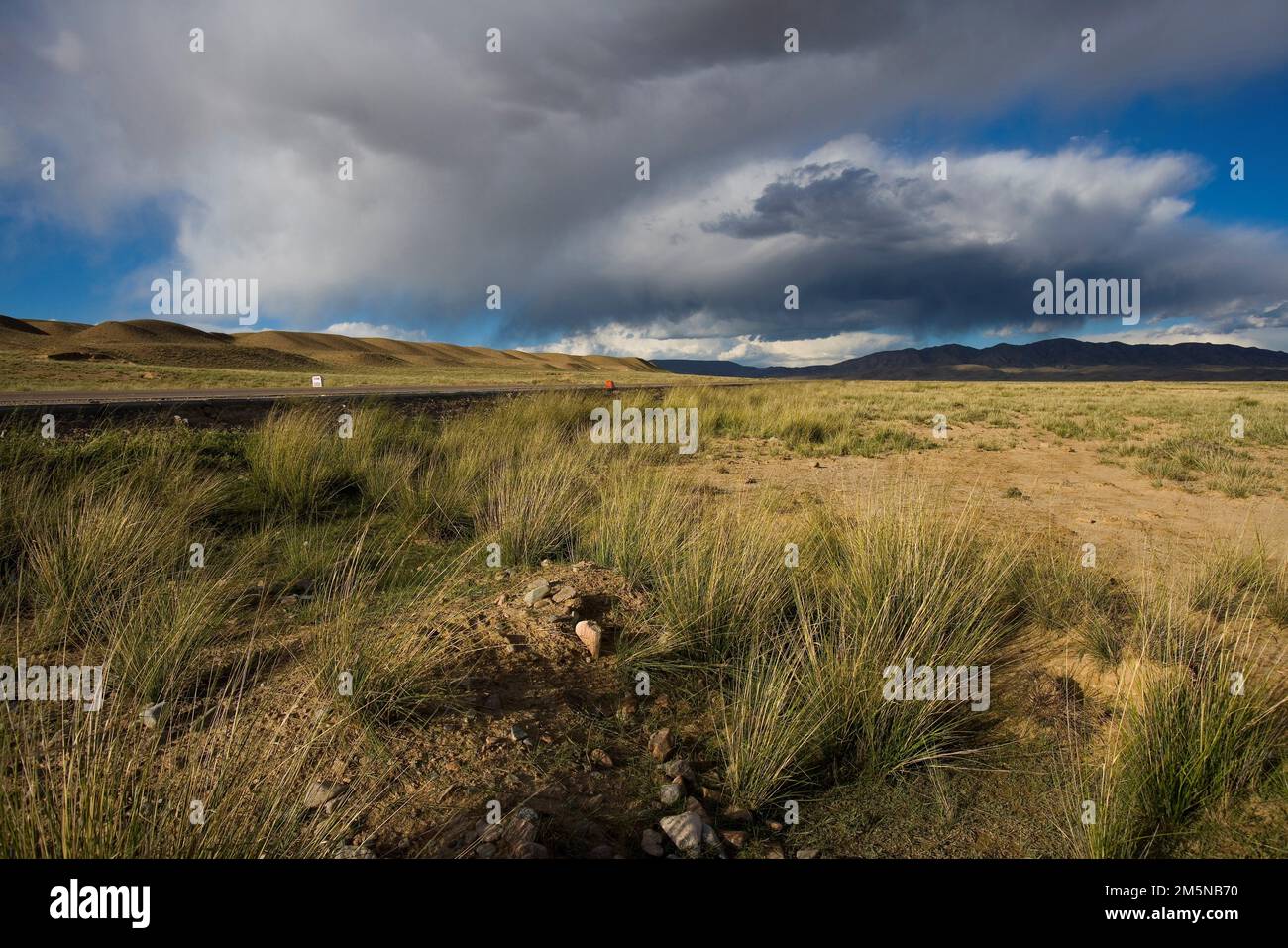 Penurious hi-res stock photography and images - Alamy