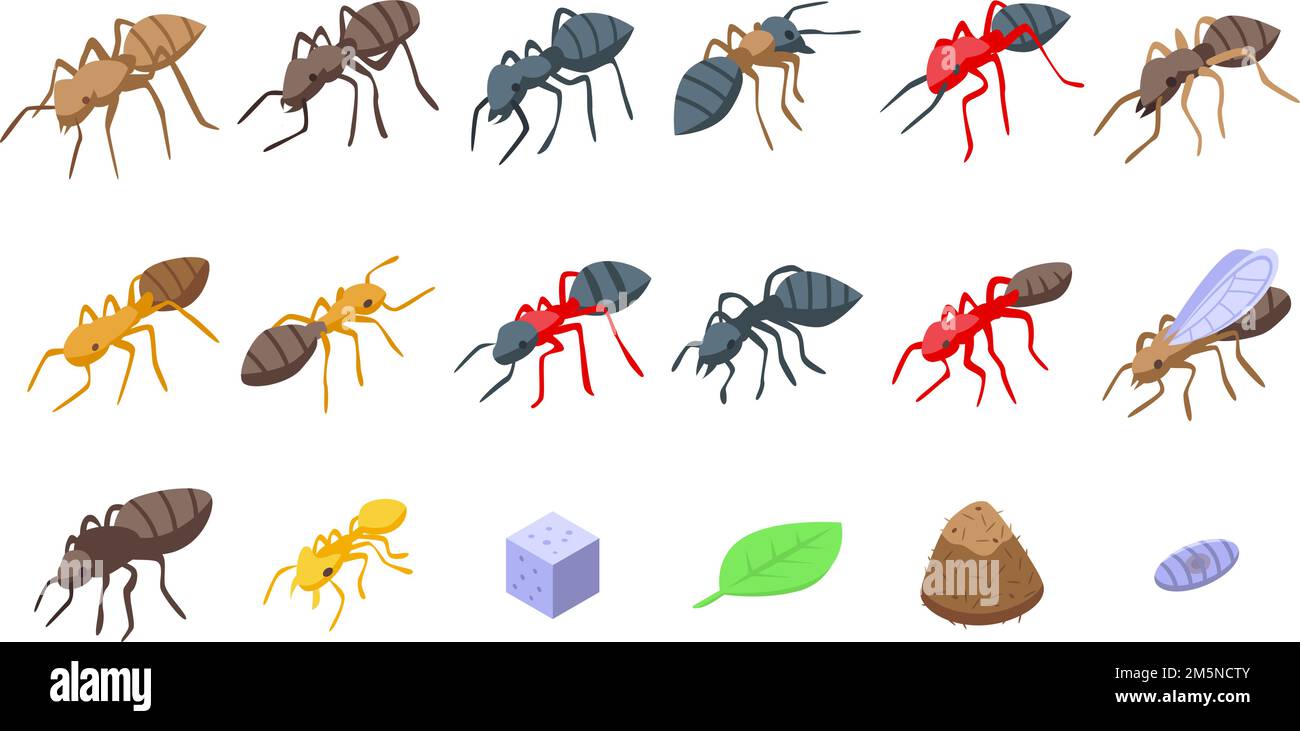 Ant icons set. Isometric set of ant vector icons for web design ...