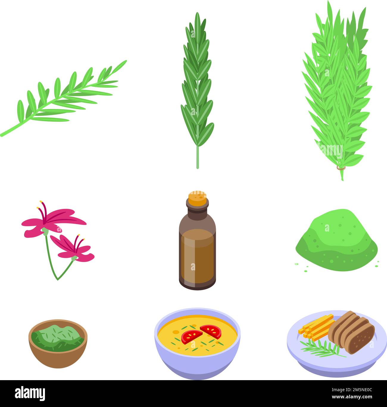 Rosemary icons set. Isometric set of rosemary vector icons for web ...