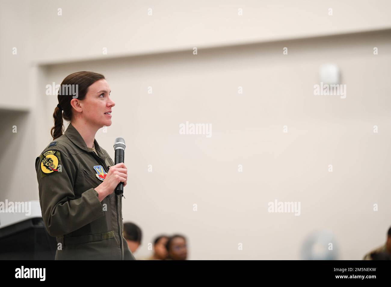 Air Combat Command's Sword Athena 2022 members briefed a panel of Sword ...