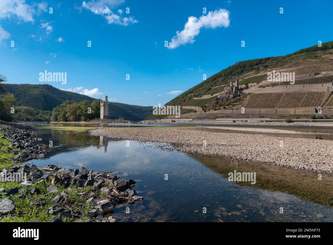 Rhine at extremely low water in the drought summer of 2022 with ...