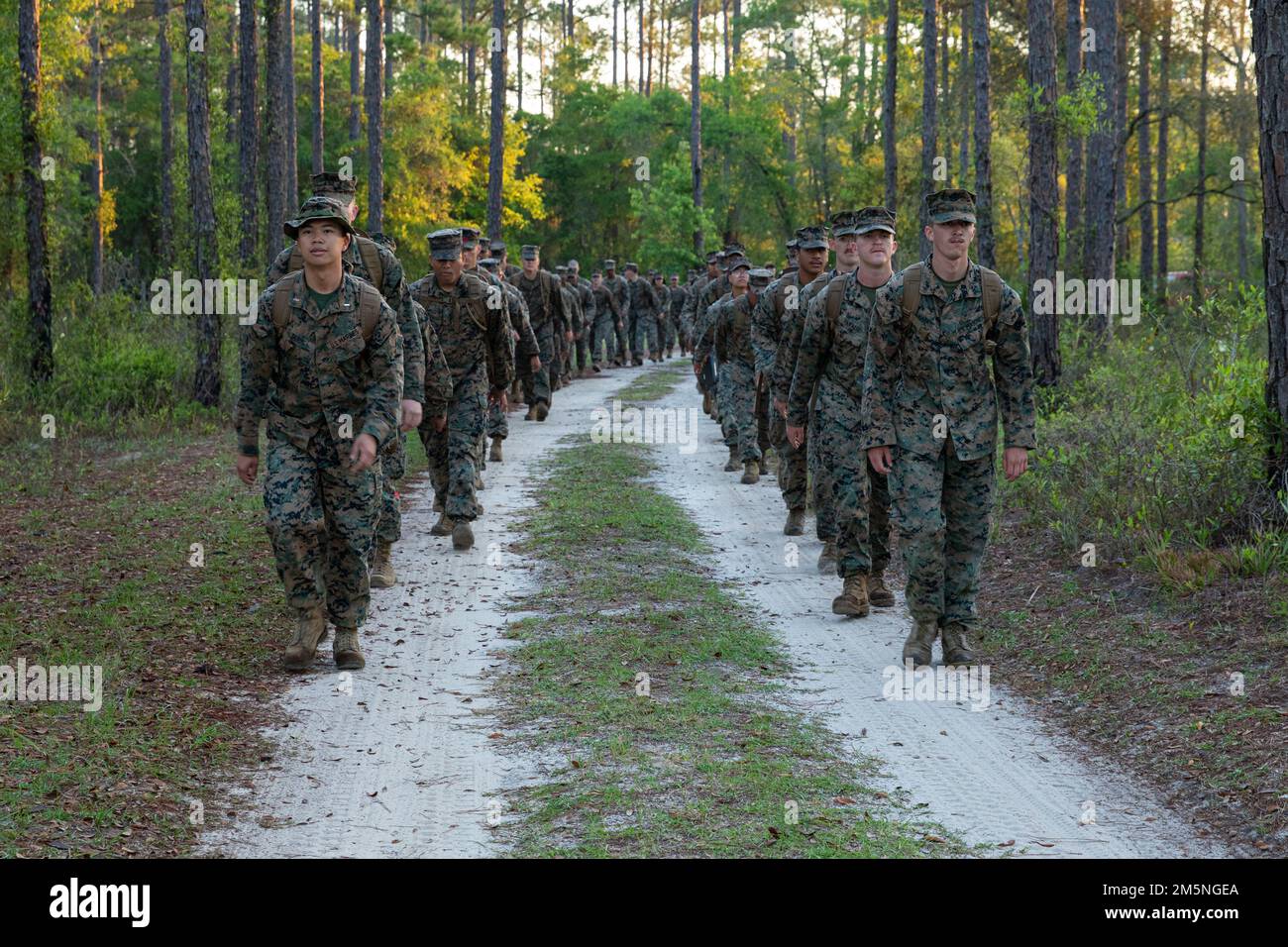 U.S. Marines with Combat Logistics Regiment 37, 3rd Marine Logistics ...