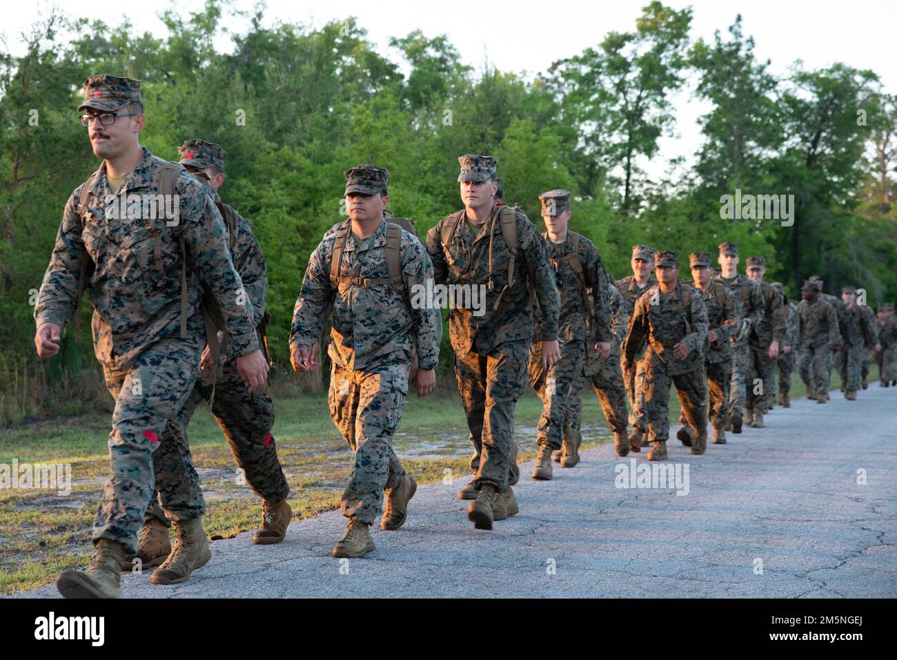 U.S. Marines with Combat Logistics Regiment 37, 3rd Marine Logistics ...