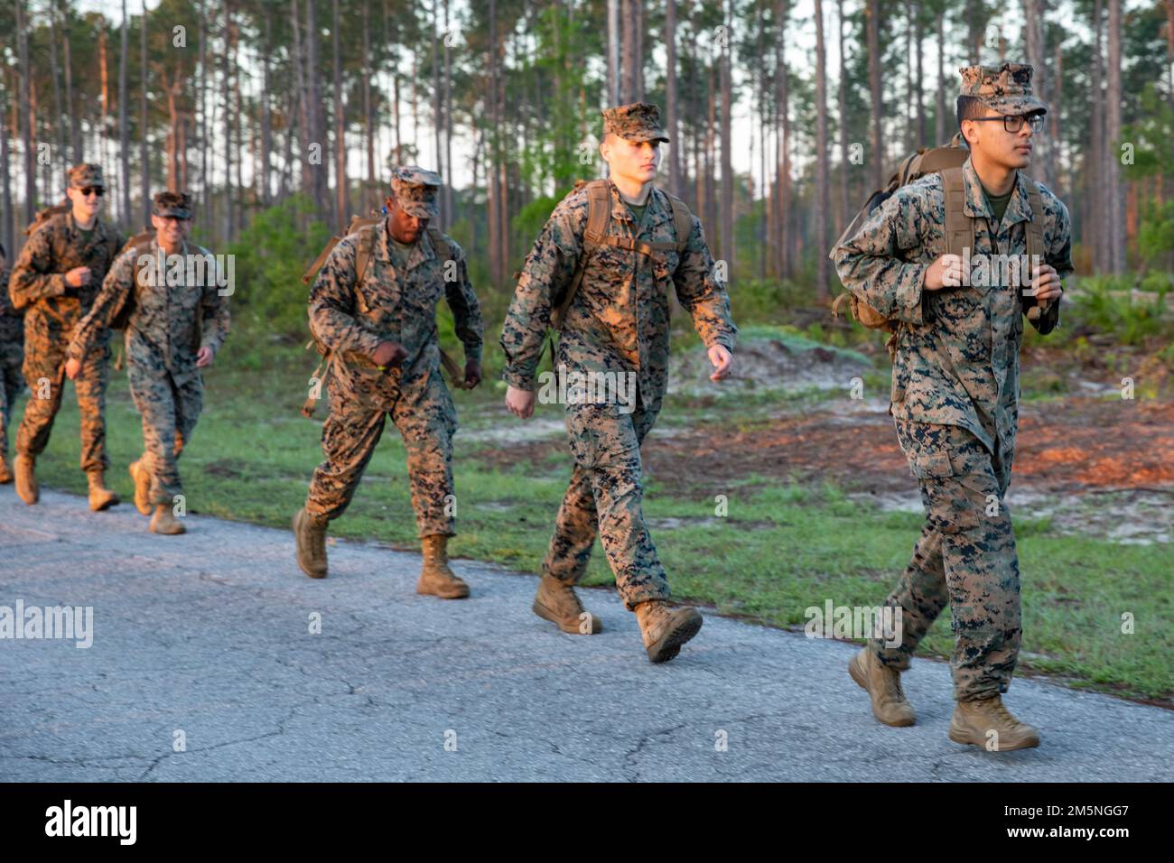 U.S. Marines with Combat Logistics Regiment 37, 3rd Marine Logistics ...