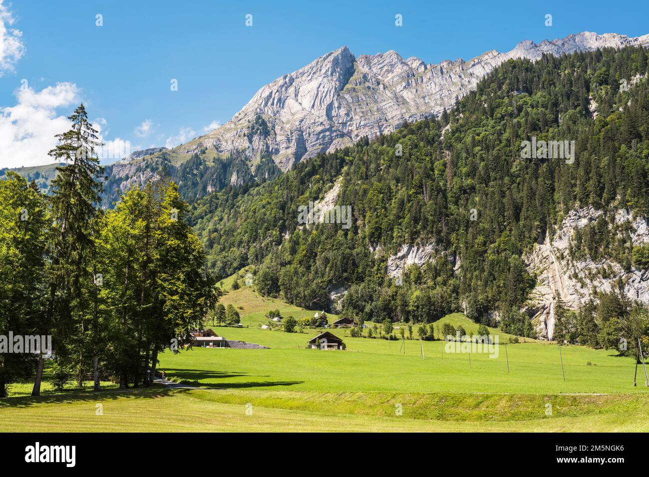 Alpine huts in Kloental with the 2294 metre high Mutteristock, Canton ...