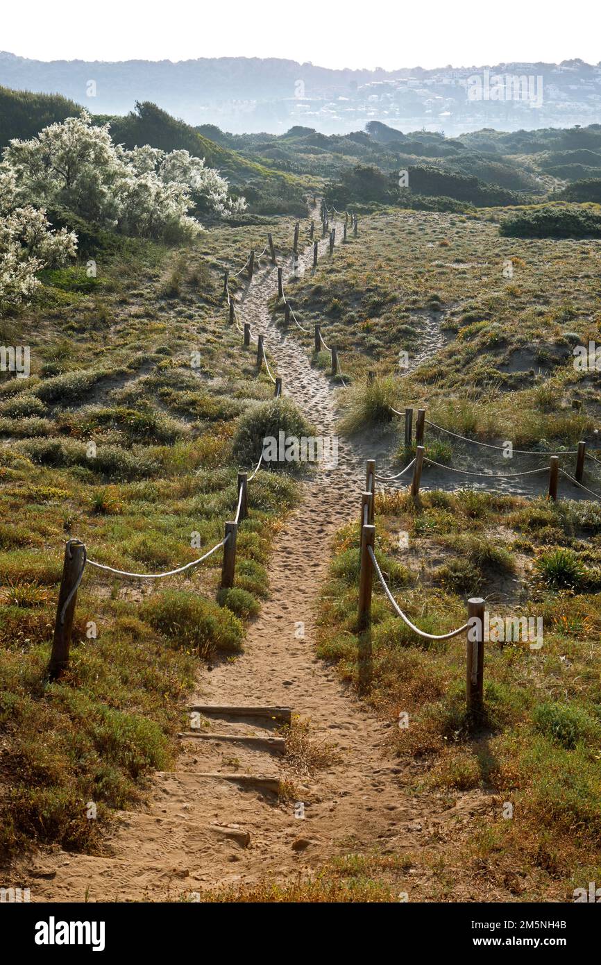 Sand path through the dunes at San Bou beach, Cami de Cavalls, Menorca ...