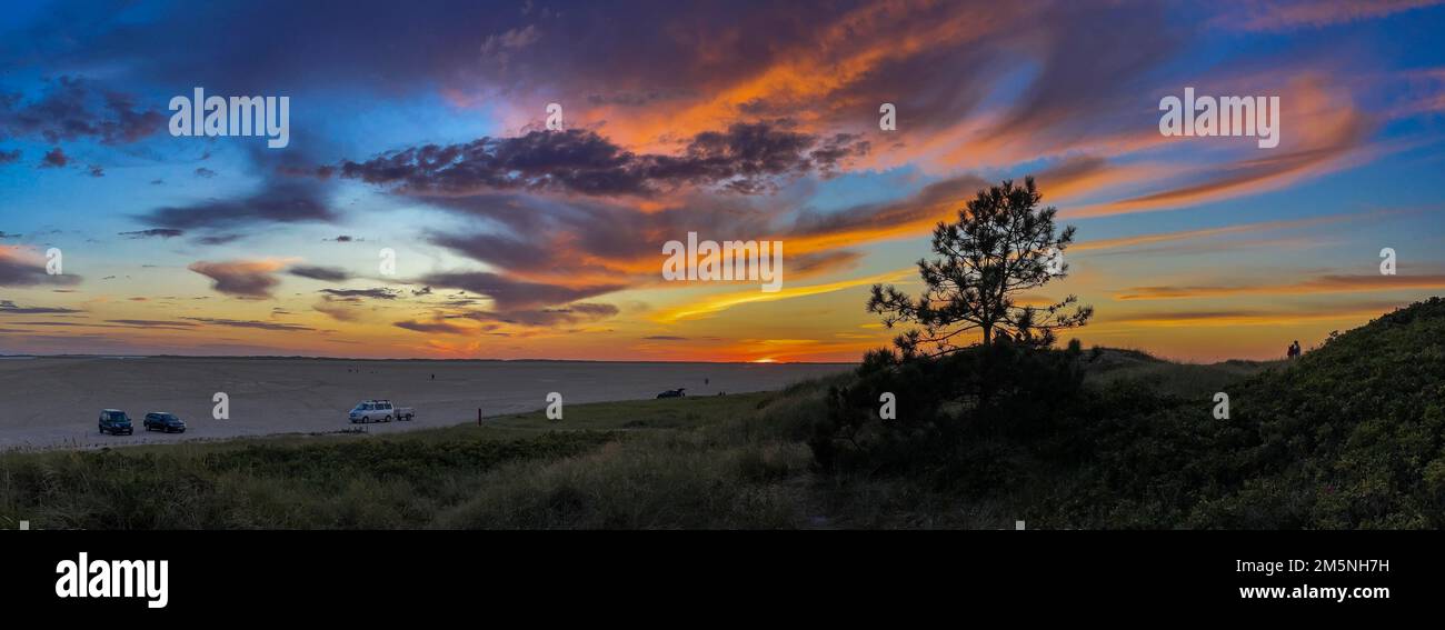 Panorama, sunset, dunes on Sonderstrand, Romo, Denmark Stock Photo - Alamy