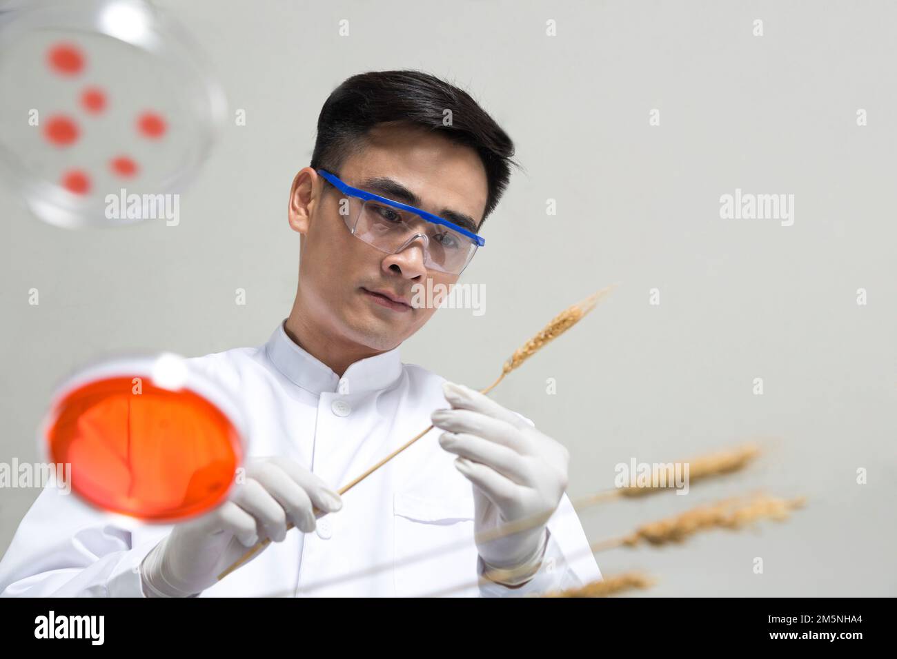 Scientists do science experiments in the laboratory Stock Photo - Alamy