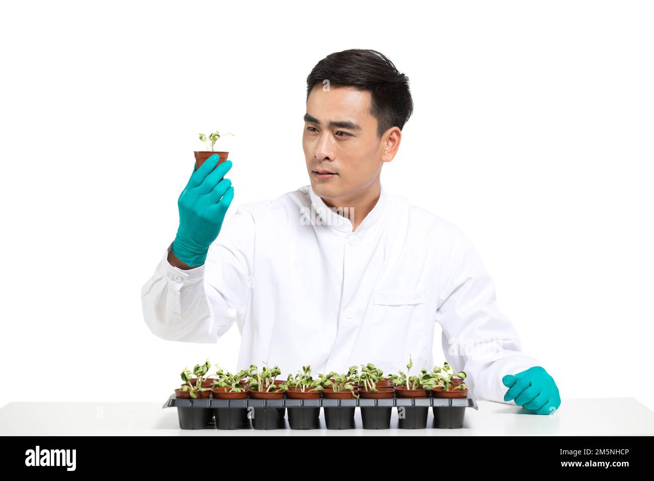 Male young scientists study plants Stock Photo - Alamy