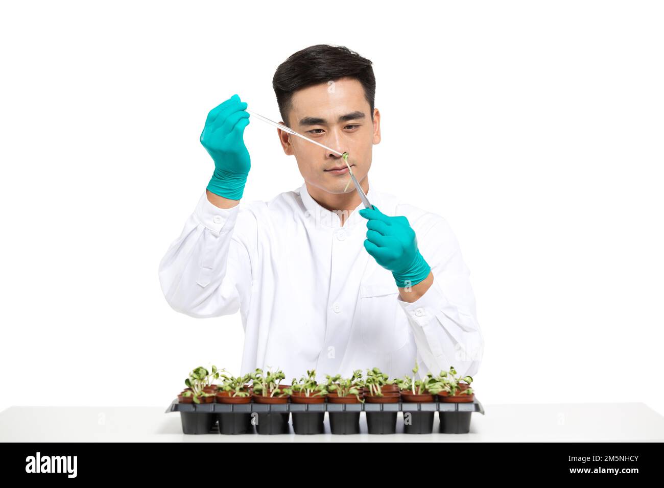 Study plants hi-res stock photography and images - Alamy