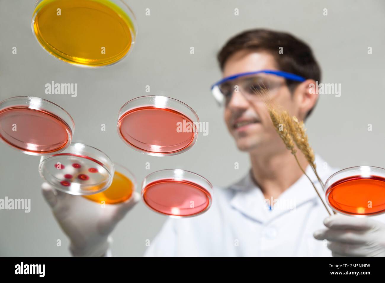 Shallow dishes hi-res stock photography and images - Alamy