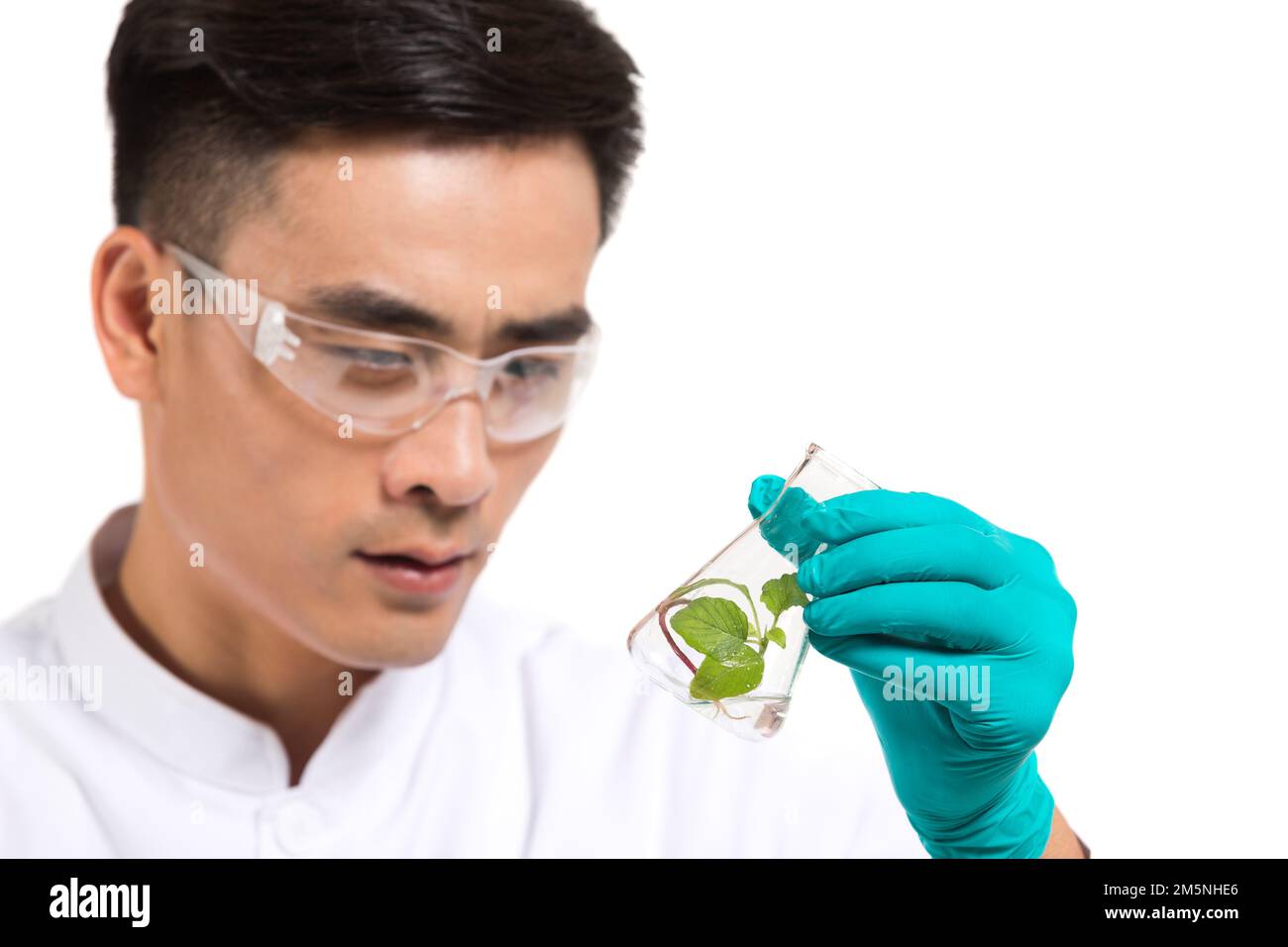 Male young scientists study plants Stock Photo - Alamy