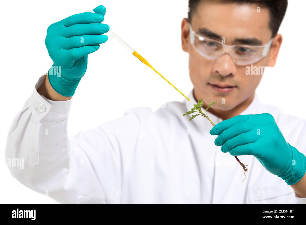 Male young scientists study plants Stock Photo - Alamy