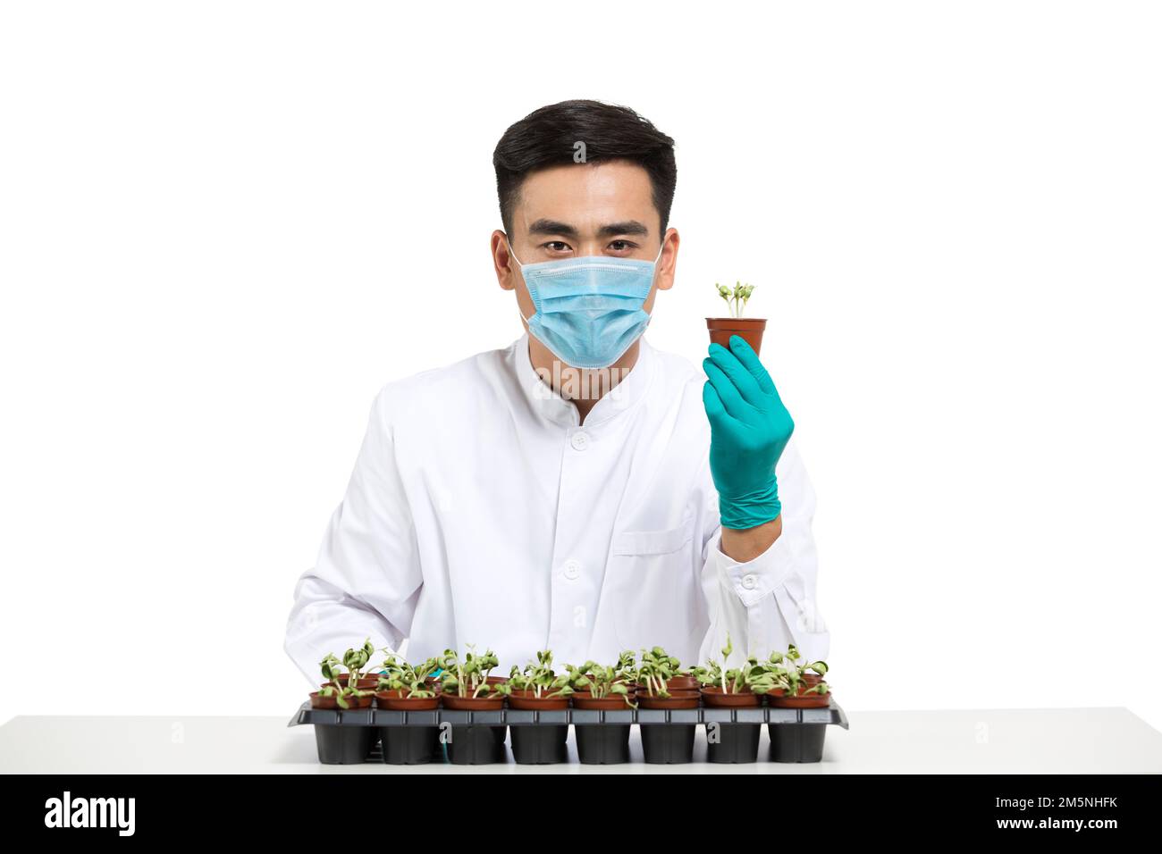 Male young scientists study plants Stock Photo - Alamy