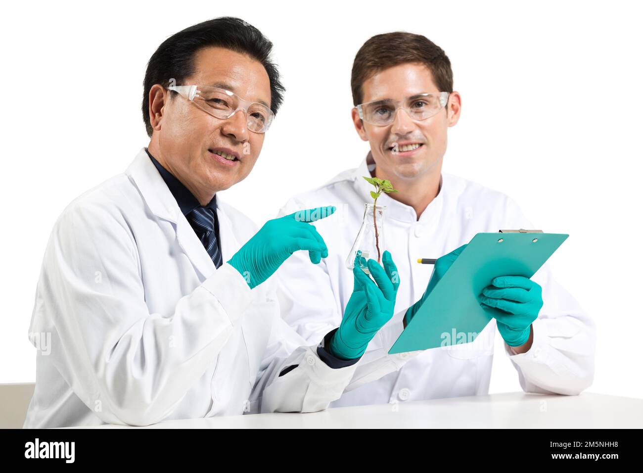 Chinese man plant study hi-res stock photography and images - Alamy