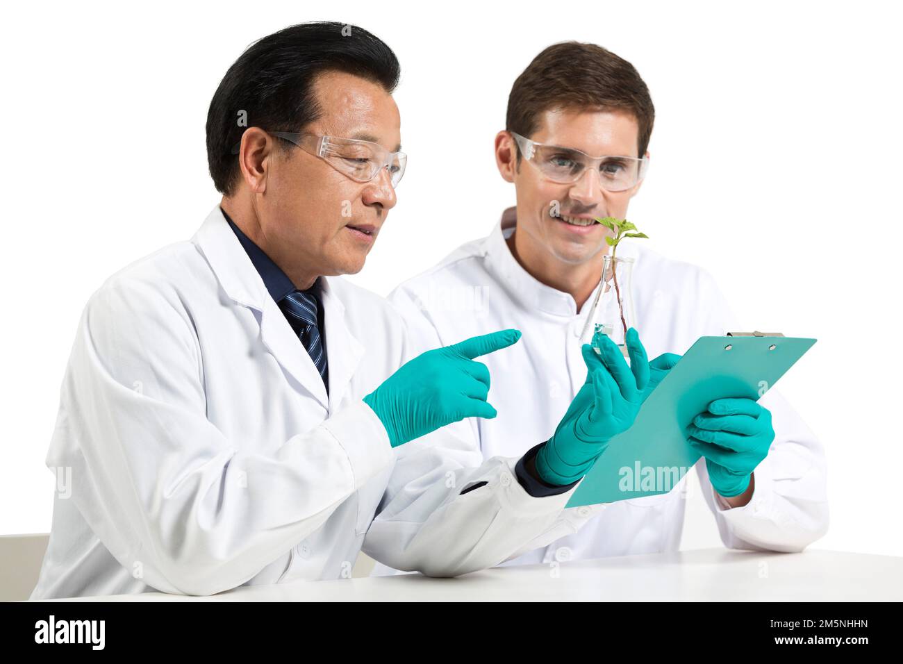 Chinese man plant study hi-res stock photography and images - Alamy