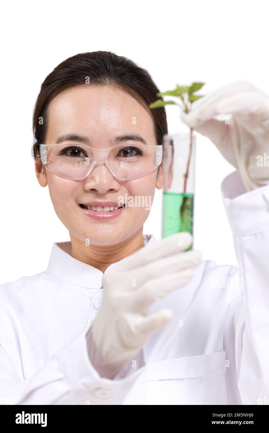 Women scientists study looked at in a test tube plant Stock Photo - Alamy