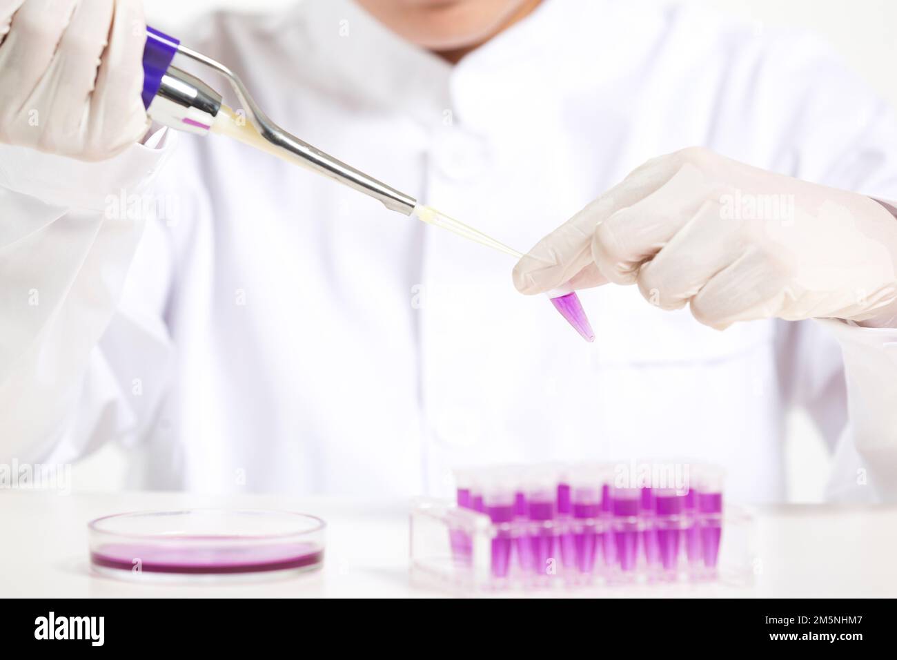The reagent women scientists observed in vitro Stock Photo - Alamy