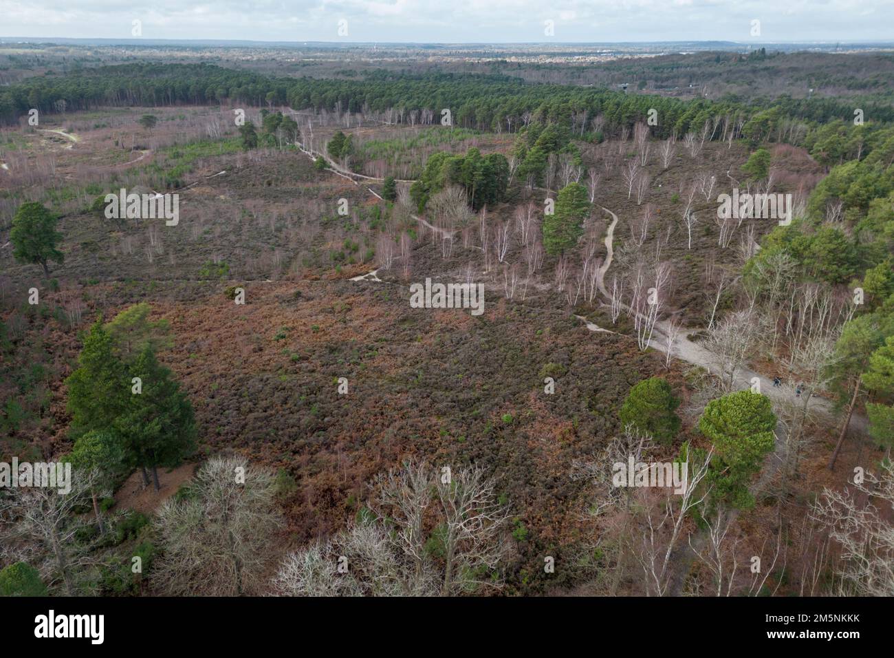 Cobham common hi-res stock photography and images - Alamy