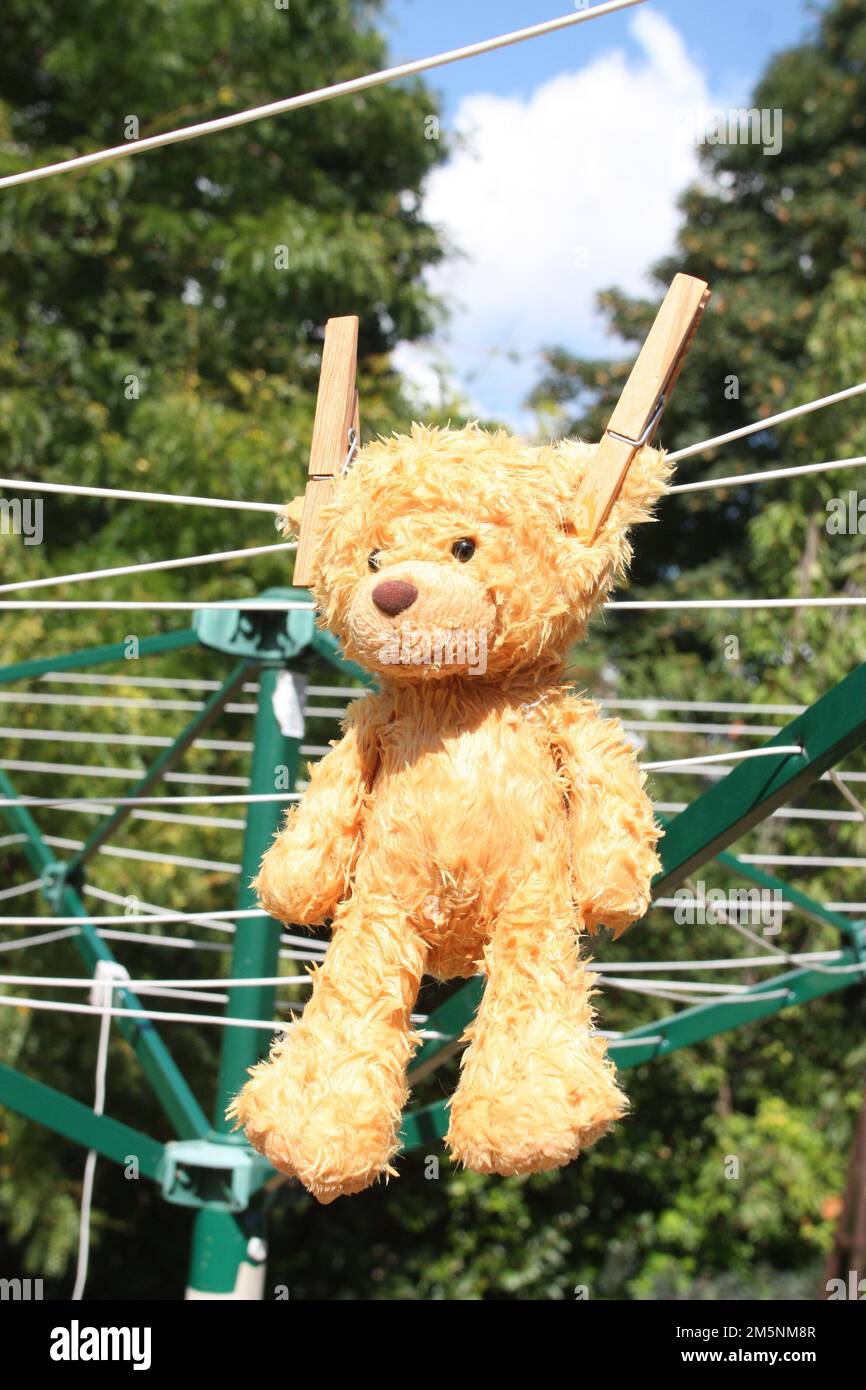 Teddy bear hanging on a line to dry by his ears, UK garden washing line ...