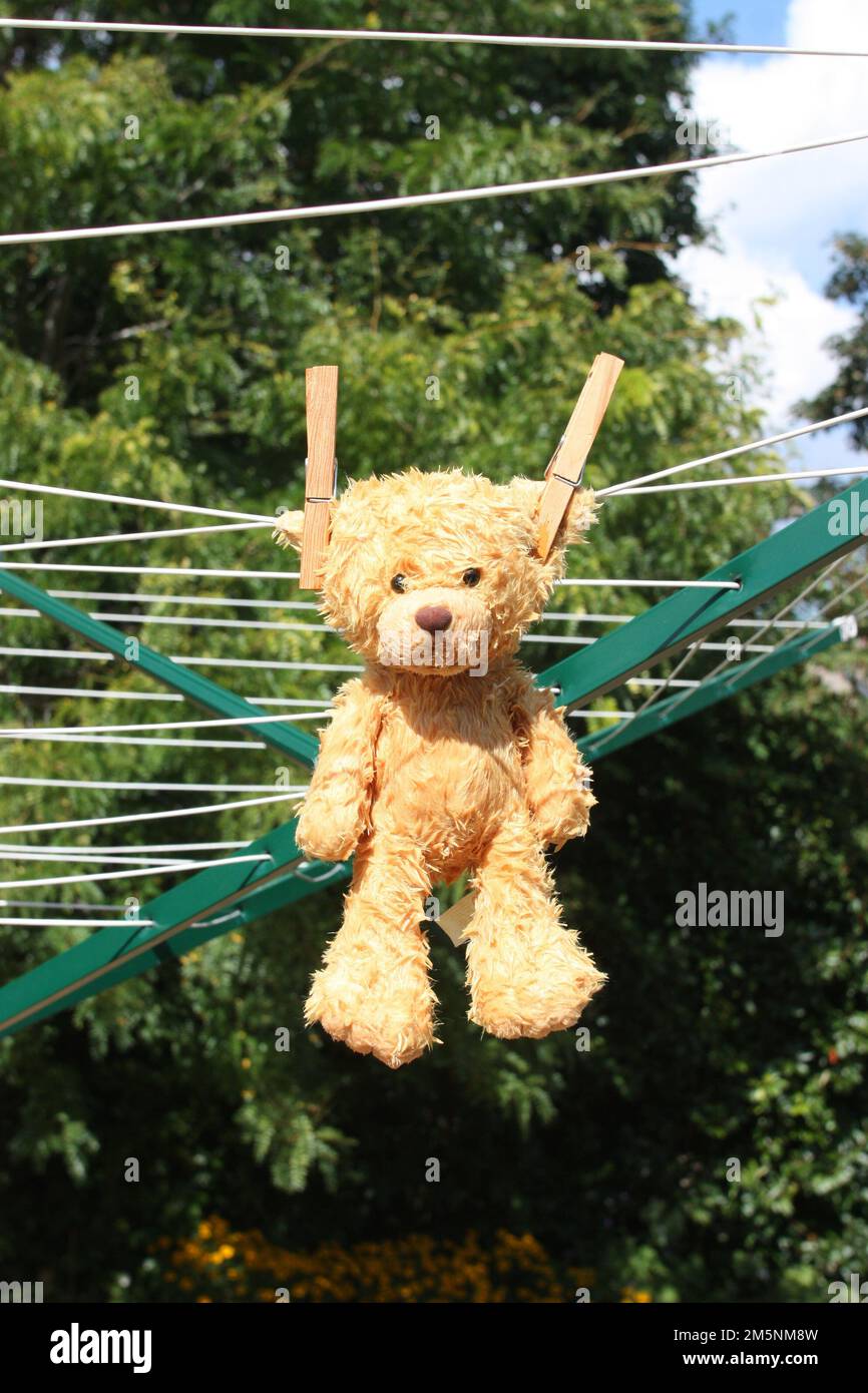 Teddy bear hanging on a line to dry by his ears, UK garden washing line ...