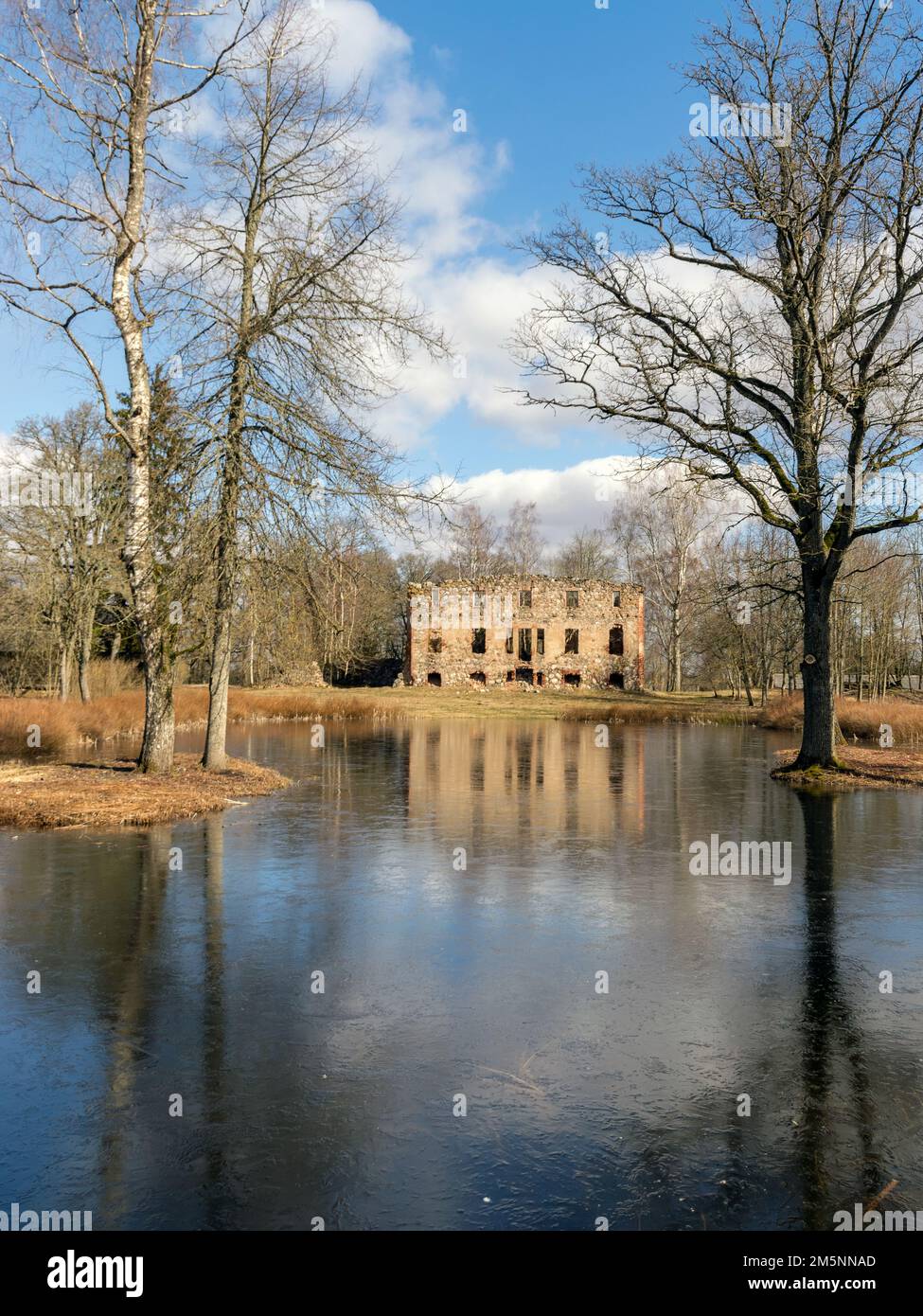 wonderful landscape with old manor ruins, early spring, beautiful blue ...