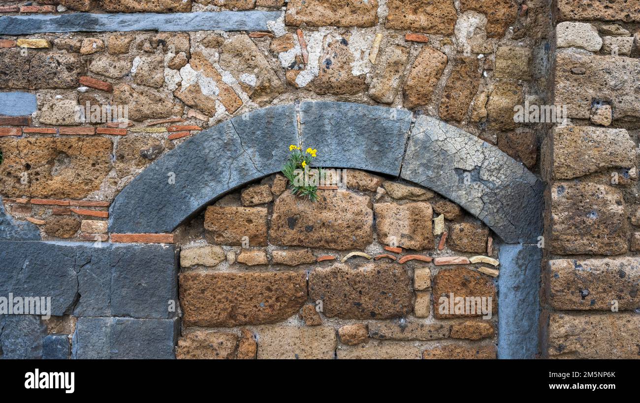 Detail of an old wall made of tuff, hill village Civita di Bagnoregio ...