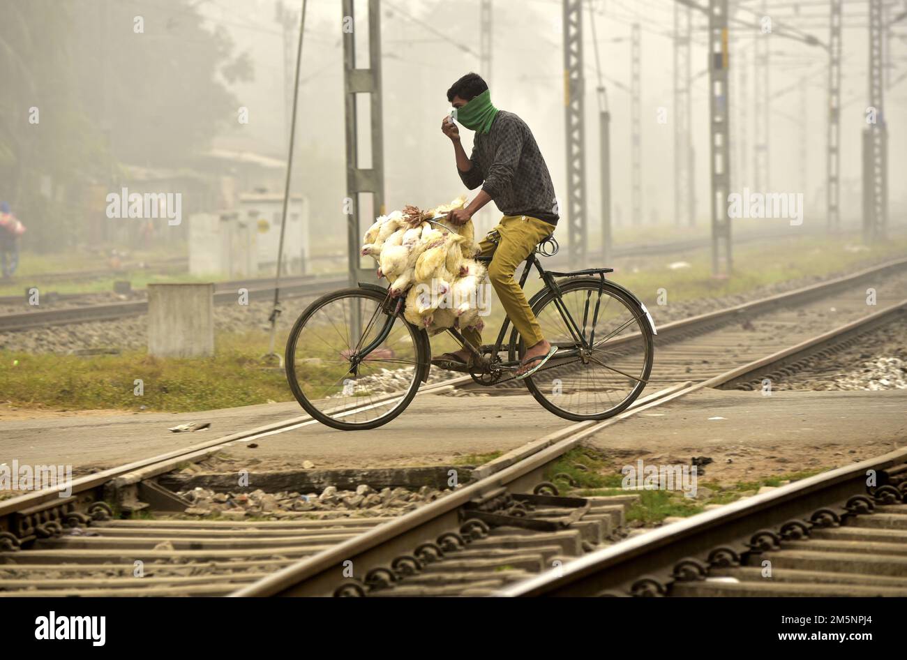 Guwahati, Guwahati, India. 30th Dec, 2022. A youth carry hens on a ...