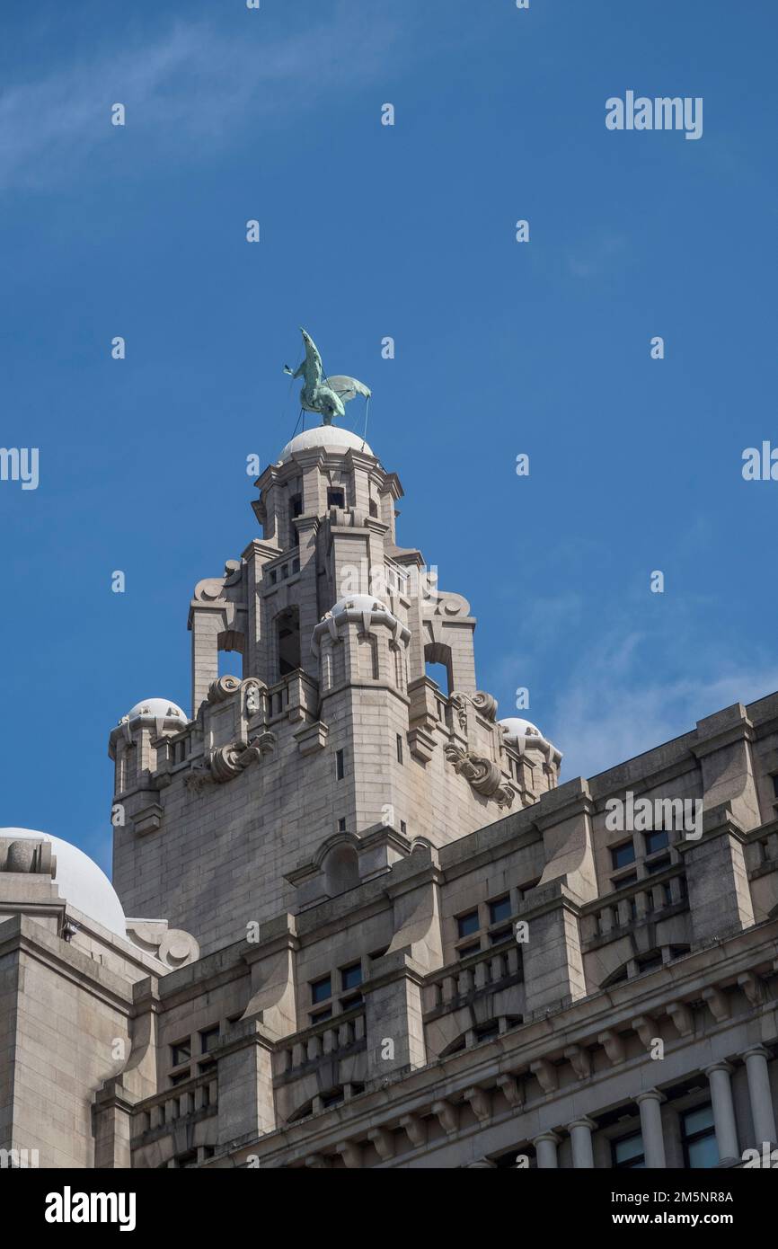 The Liver Bird on top of the Liver Building in Liverpool in the UK ...