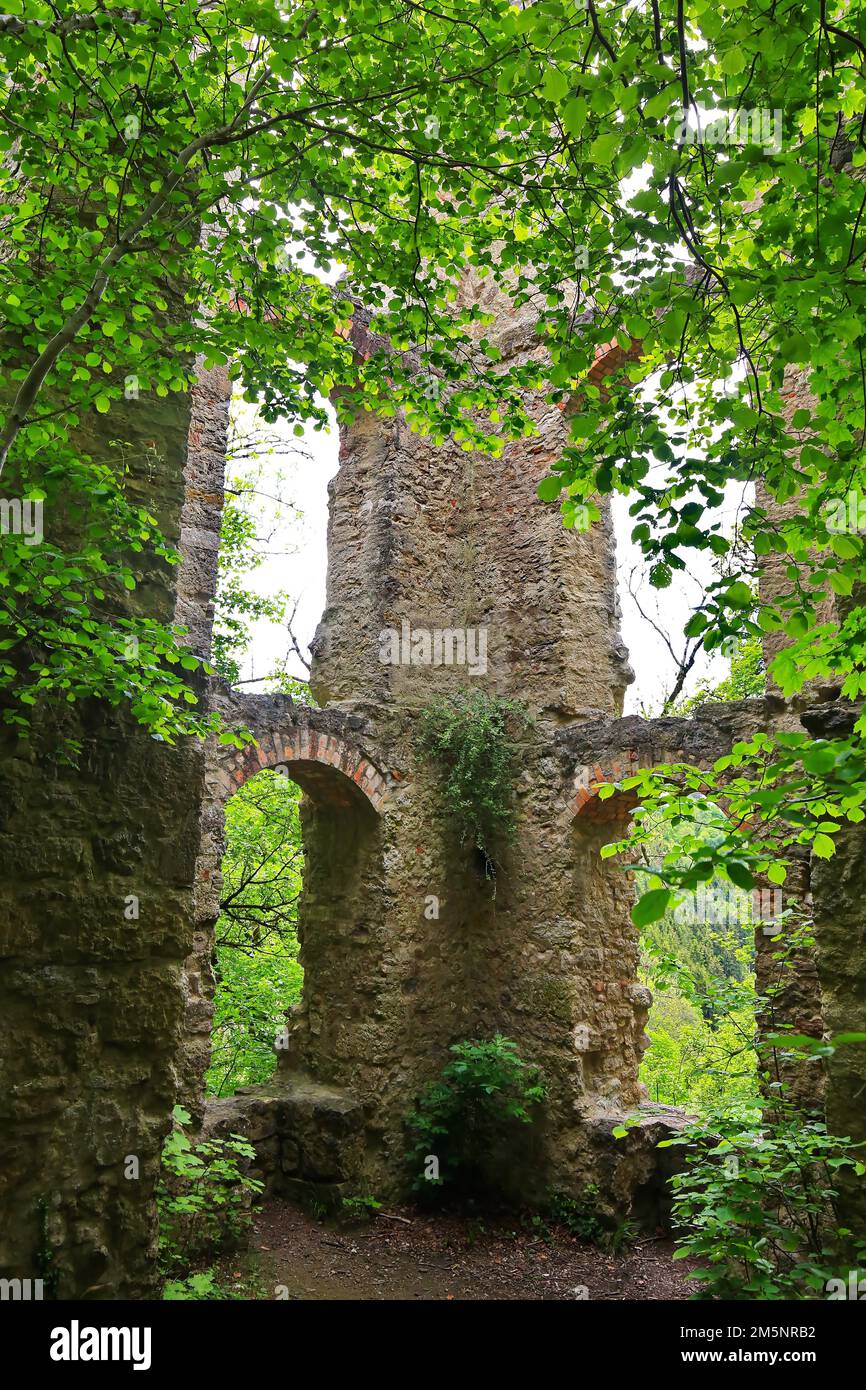 The Neckarburg castle ruins are a tourist attraction in the city of ...