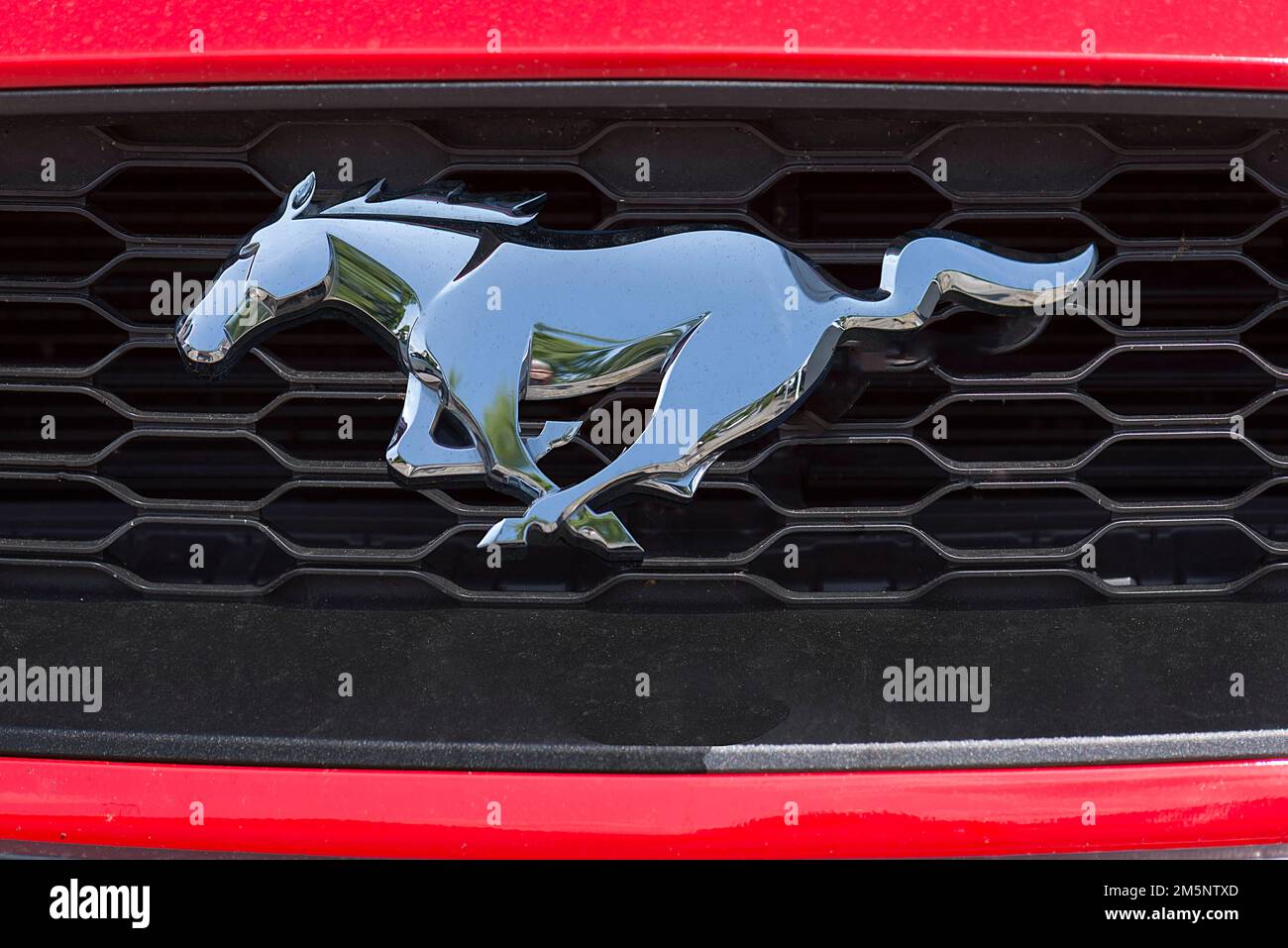 Mustang Car Symbol