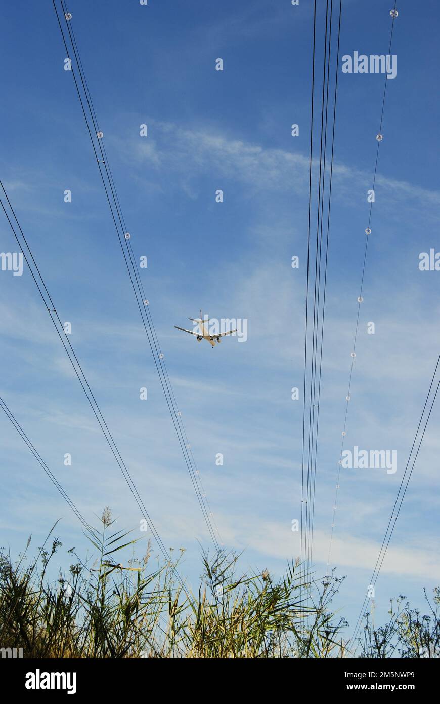 An aircraft plane flying over in the blue cloudy sky over trees and ...