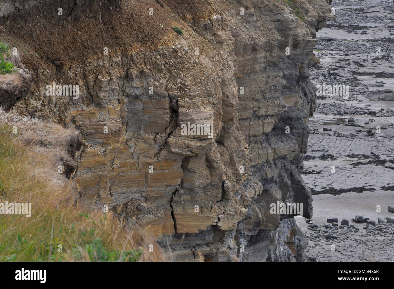 Lower lias period hi-res stock photography and images - Alamy