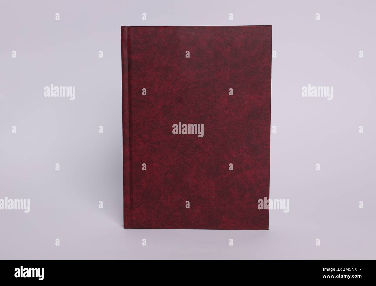 red color leather diary stock image, diary isolated white background ...