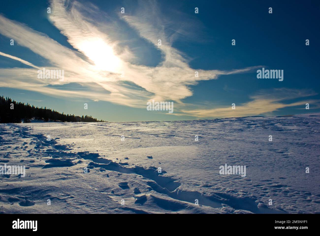 The sun shining brightly over the snowy mountains and the forest in the ...