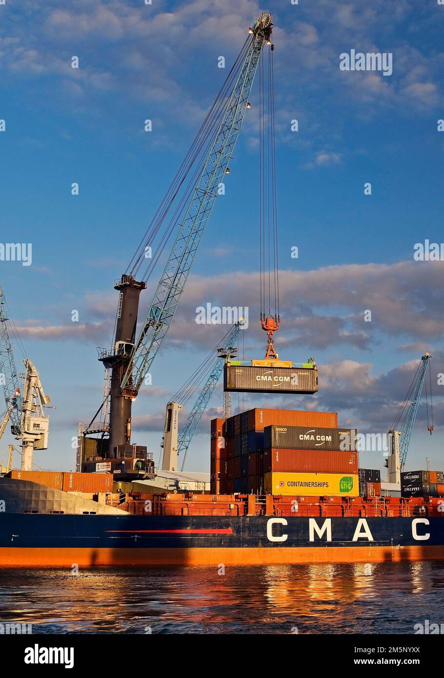 Container ship loading in Steinwerder Harbour at the South-West ...