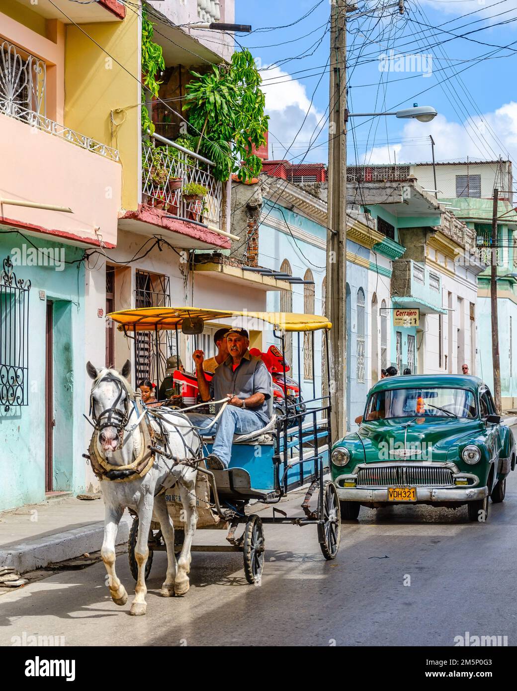 A horse cart transport passengers in the city. The animal traction ...