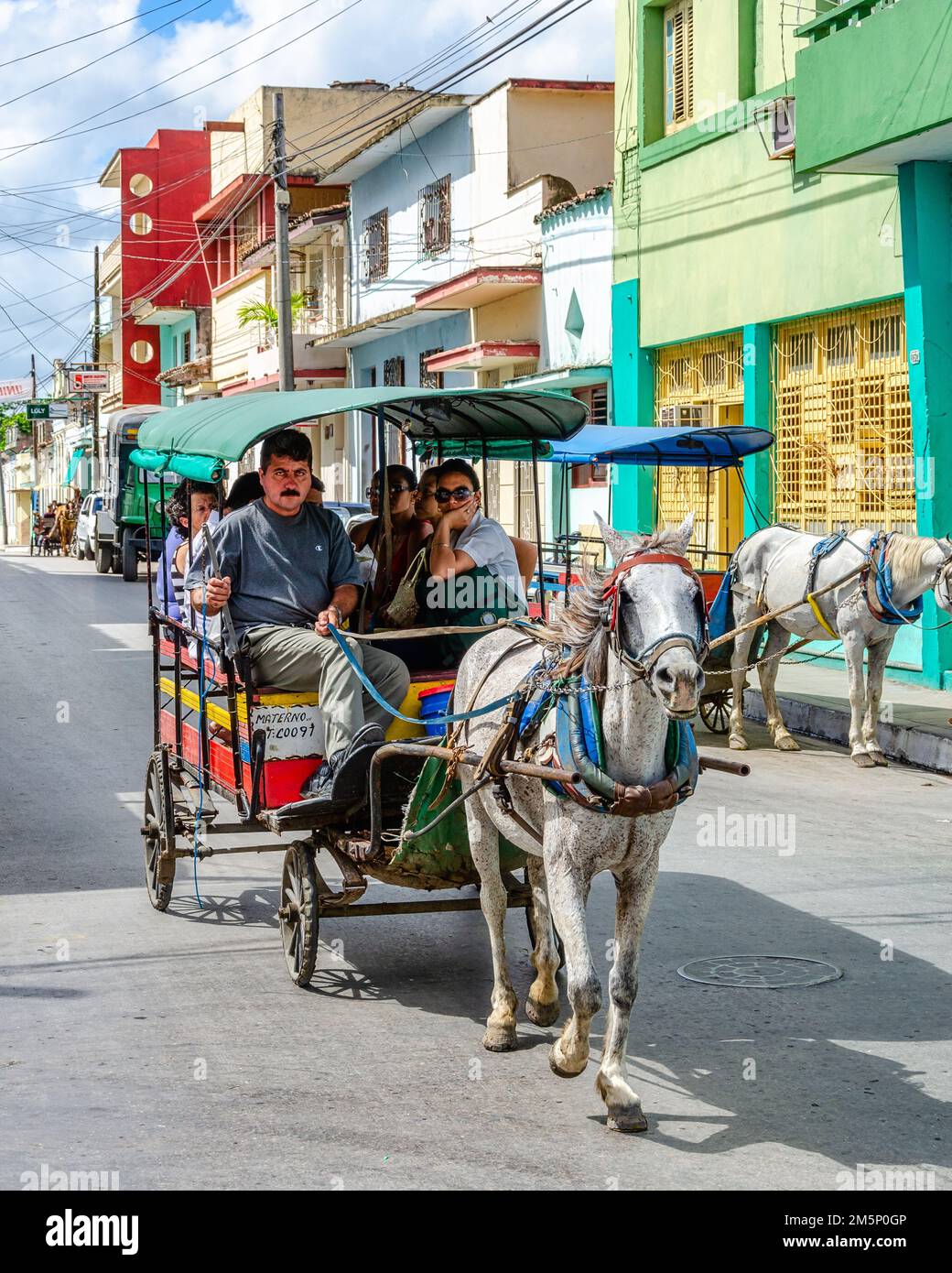 A horse cart transport passengers in the city. The animal traction ...