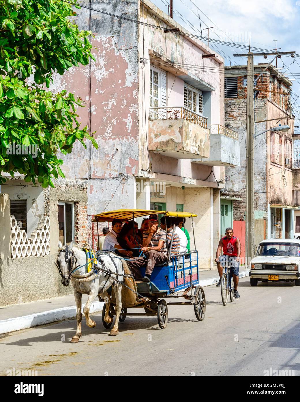 A horse cart transport passengers in the city. The animal traction ...
